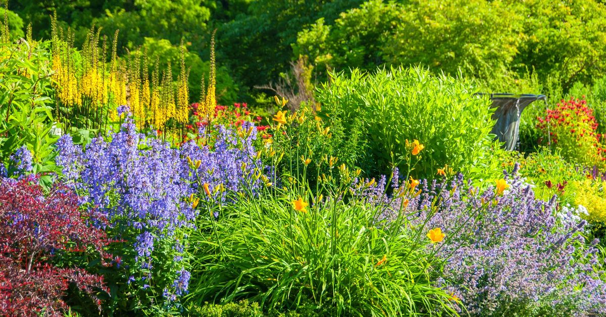 Plantas perennes o anuales, ¿cuáles son sus diferencias?