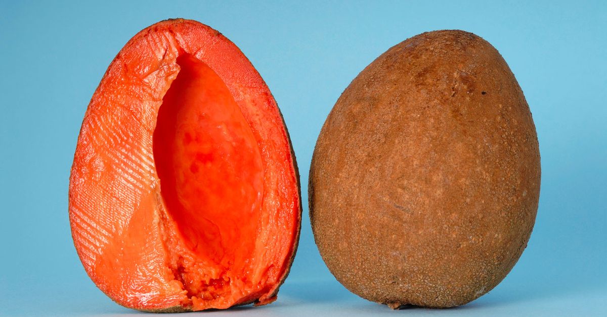 ¿Qué es el zapote? Curiosidades, beneficios y contenido nutricional