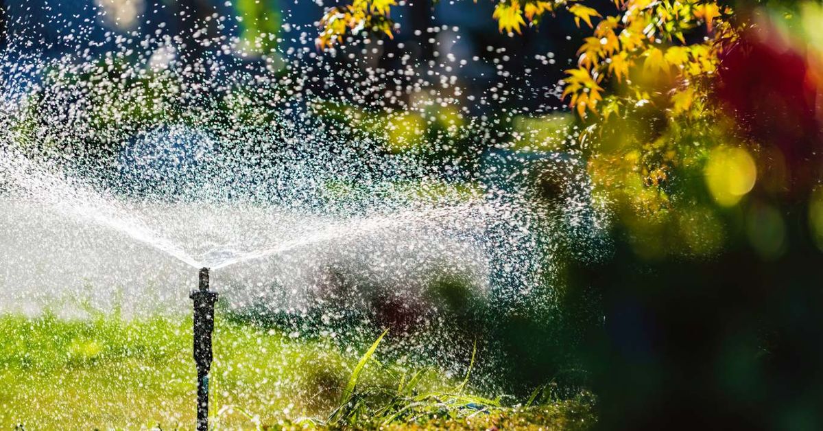 Brother love xnxx sofia consistently kept me in the know up