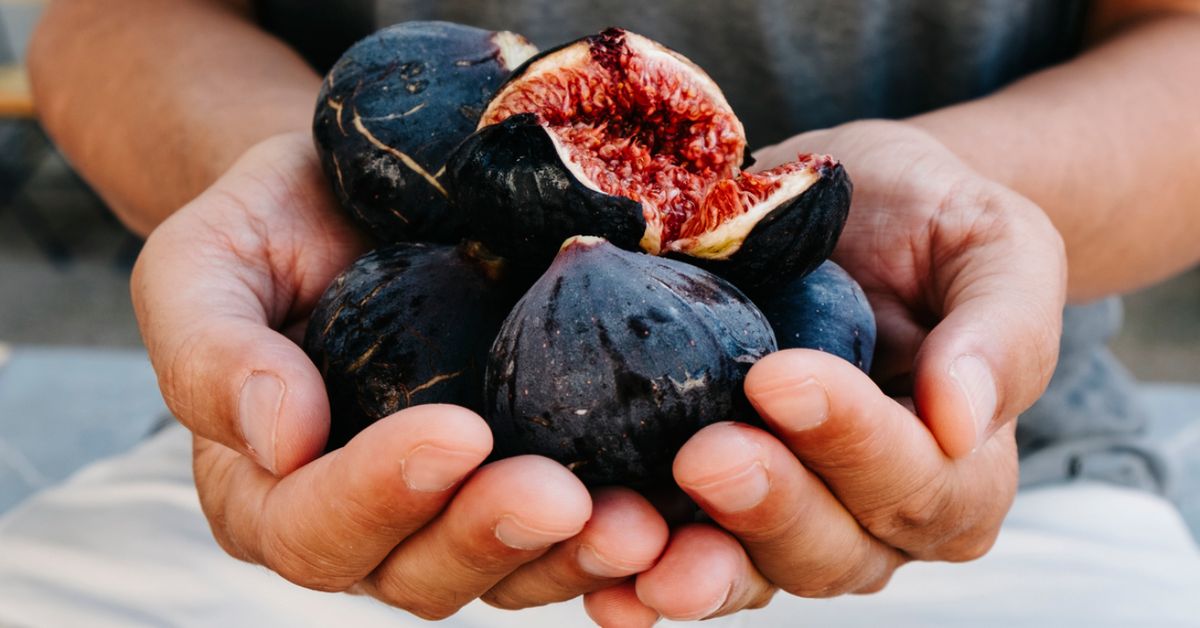 ¿Higos o brevas? Aprende a diferenciarlos y disfruta cada uno en su ...