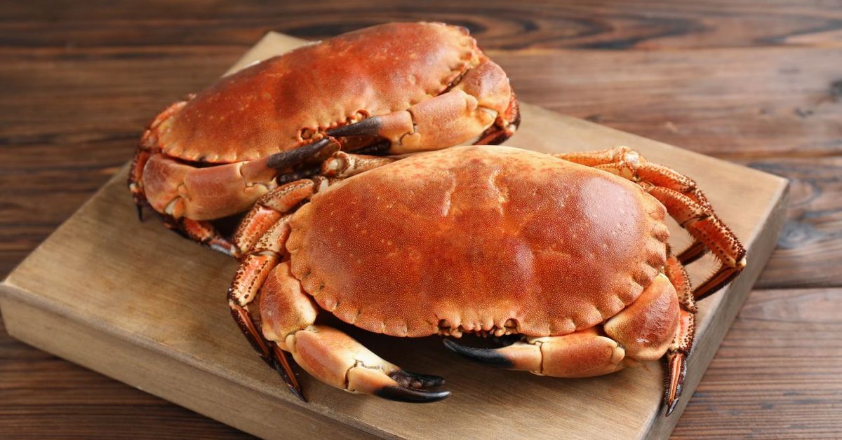 5 consejos para cocer el buey de mar en casa