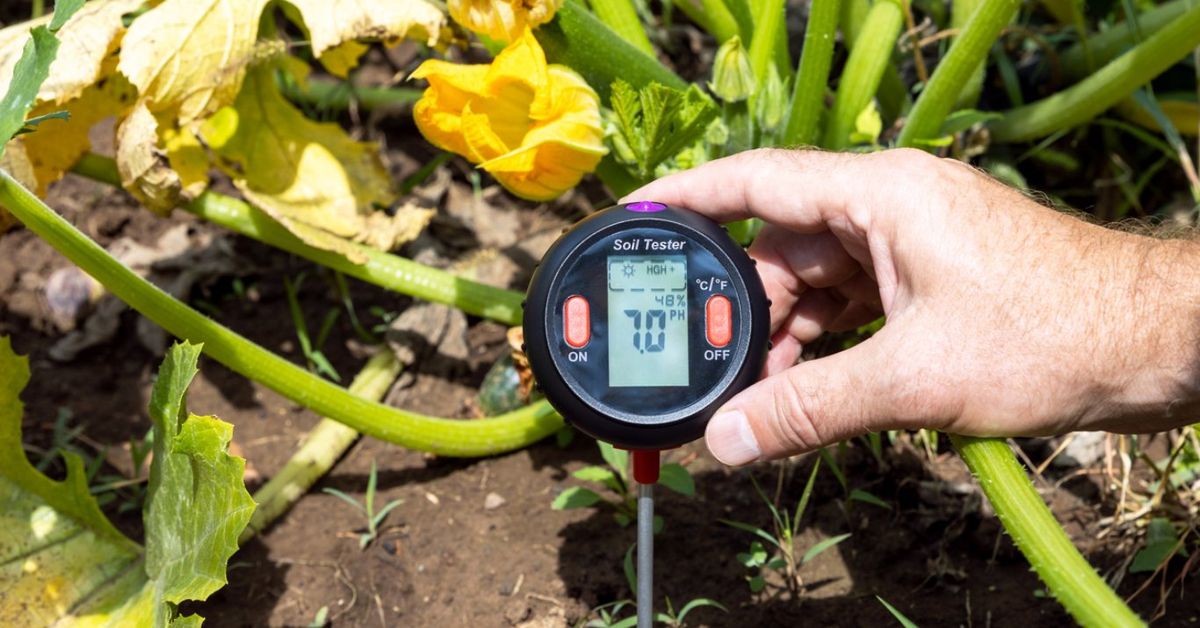 pH del suelo: qué es, cómo medirlo y por qué es clave para tus plantas