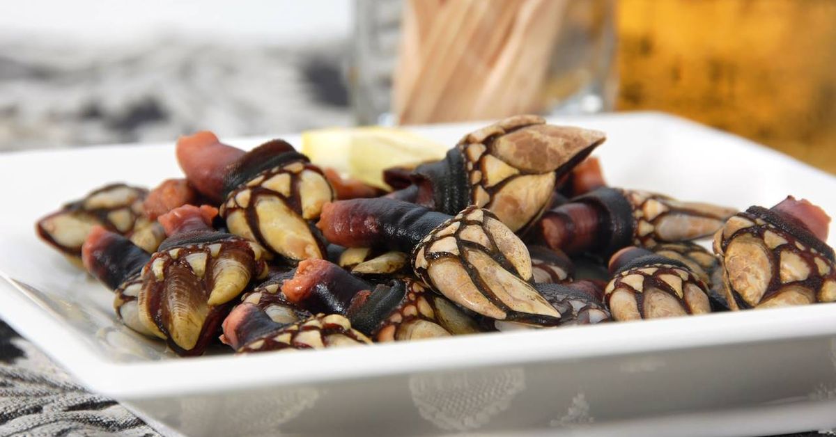 Cómo cocer percebes paso a paso