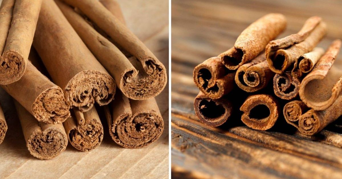 Diferencias entre canela de Ceylán y cassia: cuál es más saludable y ...