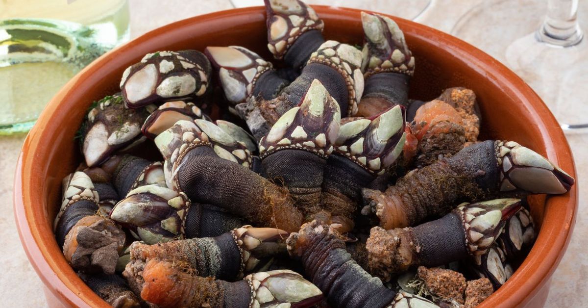 Cómo cocer percebes (guía fácil y tiempos exactos) | Cocinatis