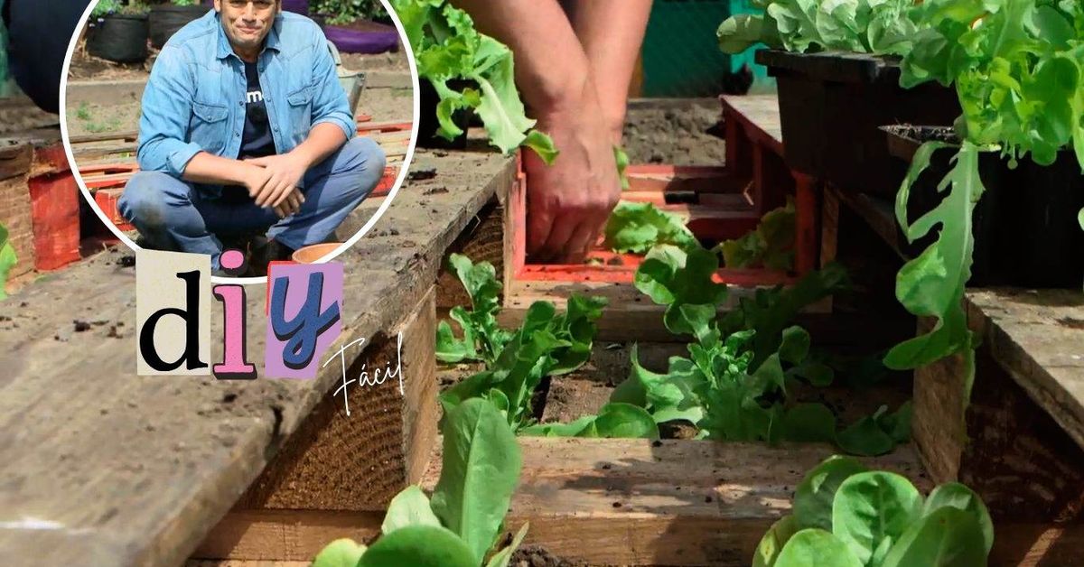 Lechugas en palets: el truco práctico y ecológico de la huerta de ...