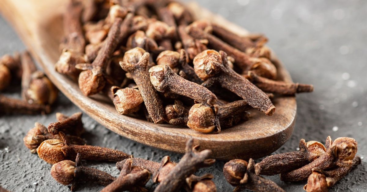 Clavo de olor: qué es, para qué sirve y cómo se usa en cocina