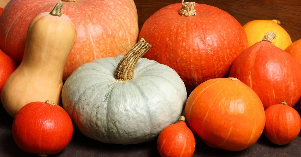 Tipos de calabaza: sabores y recetas para disfrutarlas | Cocinatis