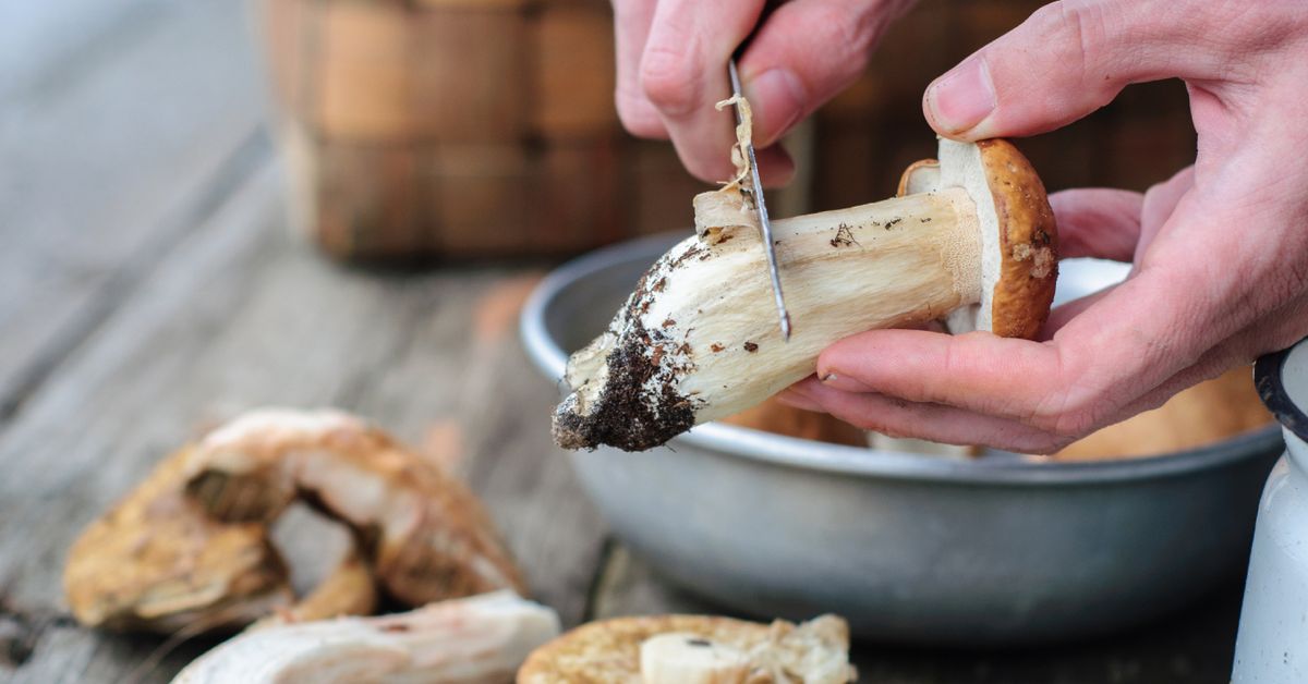 Cómo limpiar setas y conservar su sabor en la cocina